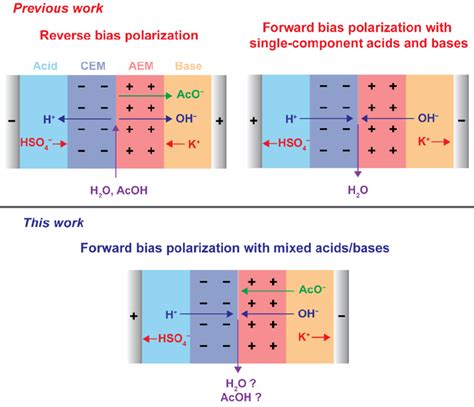 Bpm Cells Operating In Reverse Bias And In Forward Bias With