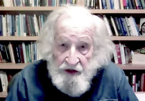 Why Is Noam Chomsky Stumped By The Idea Of Evolution For Memes Clearhat