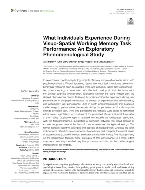 Pdf What Individuals Experience During Visuo Spatial Working Memory Task Performance An