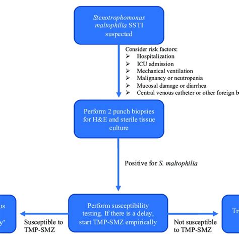 Diagnostic And Treatment Algorithm For The Patient With Suspected S Download Scientific