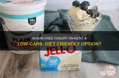 Sugar Free Yogurt On Keto A Low Carb Diet Friendly Option Shunketo