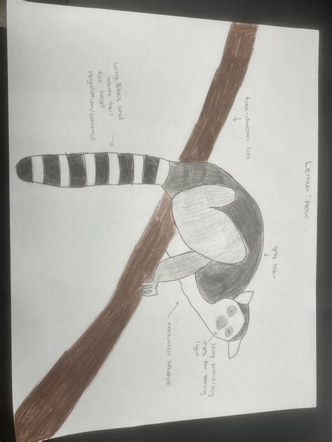 Future Engineers Future Creatures Challenge Gallery Future