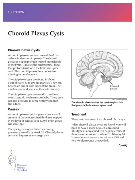 Choroid Plexus Cysts Pdf Cerebrospinal Fluid Diseases And Disorders