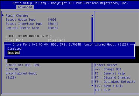 Configure RAID On Oracle Storage Gb SAS PCIe RAID Host Bus Adapter Internal Port