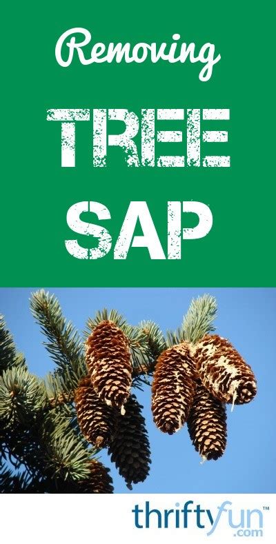Removing Tree Sap ThriftyFun