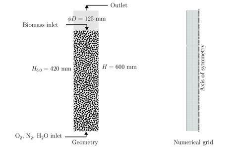 Geometry Of The Fixed Bed Reactor And Numerical Grid Used Download Scientific Diagram