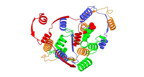 Enzyme Structure 3d