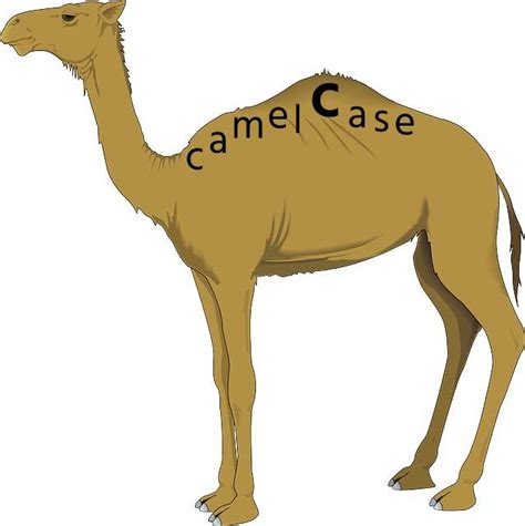 Camelcase Wat Is Het Een Duidelijke Uitleg Voorbeelden