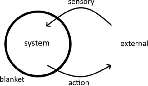 A Cyclical Model Of A Markov Blanket System A System With A Markov Download Scientific Diagram