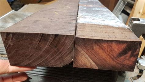 Katalox The Wood Database Hardwood
