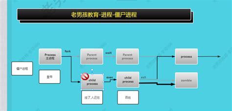 linux进程管理 wh459086748 博客园