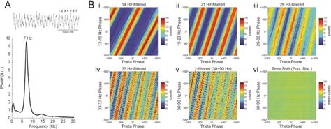 Phase Phase Coupling Between Theta And Gamma Oscillations Is 700 Download Scientific Diagram