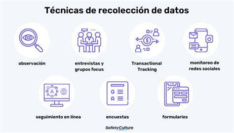 Técnicas De Recolección De Datos Ejemplos Y Guía Paso A Paso