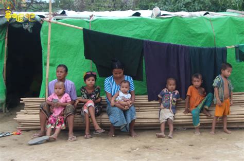 မကွေး ပဒါန်းတွင် အမ်းမှ စစ်ရှောင် ရခိုင်နှင့် ချင်းလူမျိုး ၅၀ ဦးခန့် စစ်ကောင်စီထံ စစ်မှုထမ်းရန