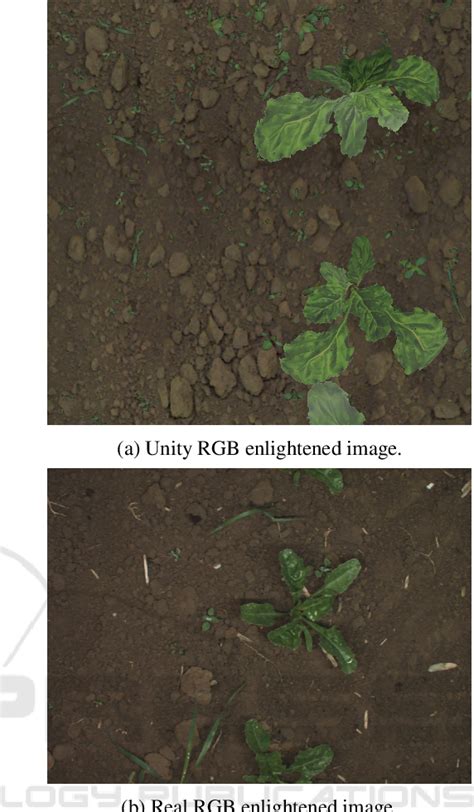 Figure 5 From Simulation Of Near Infrared Sensor In Unity For Plant Weed Segmentation