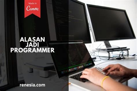 10 Alasan Jadi Programmer Adalah Pilihan Karir Yang Tepat