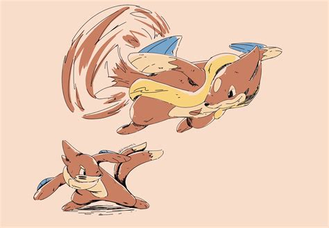 Buizel Evolution Buizel Evolution