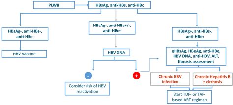 A Visual Guide To Hepatitis A B C