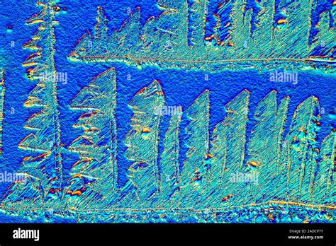 Polarised Light Micrograph Plm Of Cisplatin Crystals Cisplatin Is A