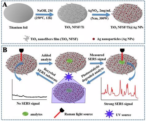 Scheme Of The Fabrication Process Of Tio2 Nfsftiag Nps Substrate A