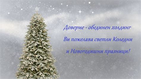 Doverie United Holding Ad On Linkedin Светли Коледни и Новогодишни празници