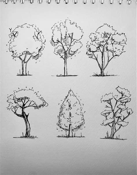 Tree Drawing Tutorial Howtodraw Trees Pen Drawing Archscapez