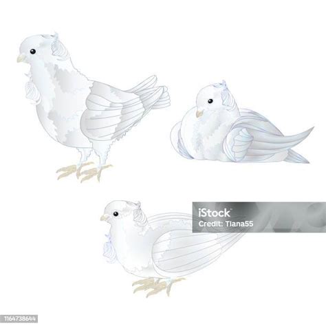 장식 흰색 비둘기 귀여운 작은 새 세트 에 A 화이트 배경 빈티지 벡터 일러스트 편집 낙서 드로잉에 대한 스톡 벡터 아트 및