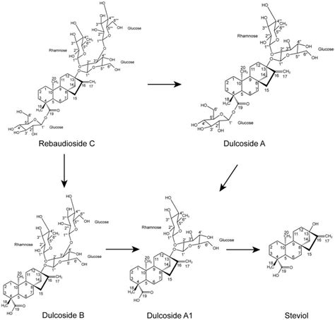 Integrated Metabolite Profiling And Transcriptome Analysis Unraveling