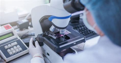 Red Biotechnology Definition Types And Applications