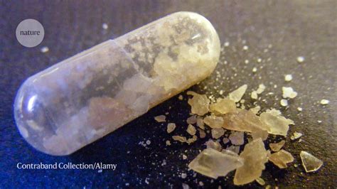 How Psychedelic Drugs Achieve Their Potent Health Benefits