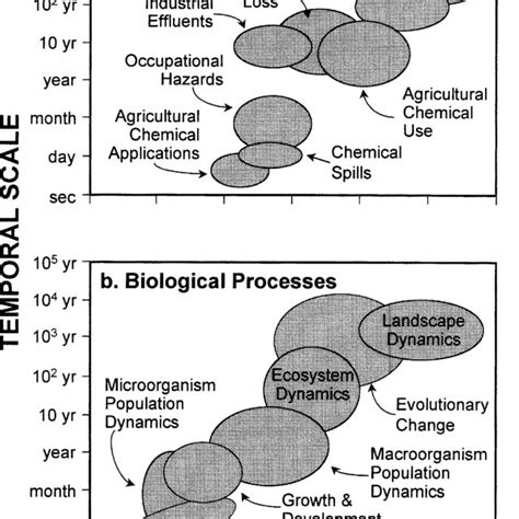Conceptual Nested Hierarchy Of Biological Organization Download Scientific Diagram