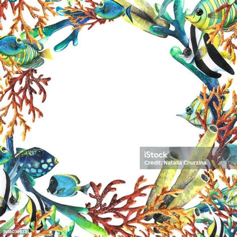 밝고 아름다운 산호 조류 및 열대 밝은 물고기 수채화 그림입니다 열대어 컬렉션의 템플릿입니다 여름 해변 바다 관광객 여행 장식 및 디자인 구도에 대한 스톡 벡터 아트 및