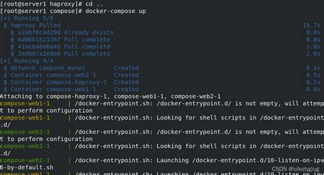 docker 十 docker三剑客 docker compose docker comite csdn博客