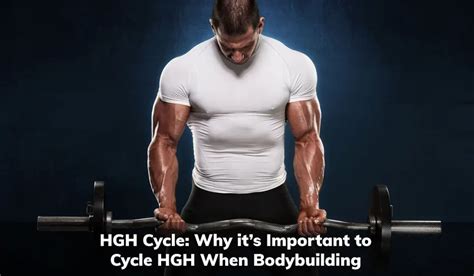 Hgh Cycle Why Its Important To Cycle Hgh When Bodybuilding Hgh Au