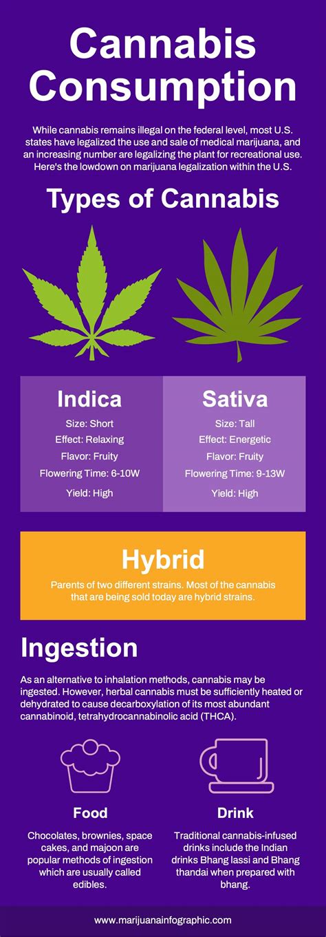 Safety Infographics Presentation Template