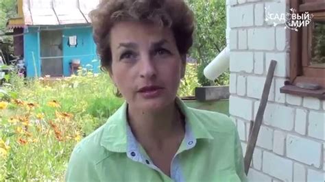 Экономичная, удобная электросушилка для грибов овощей и ягод. - YouTube