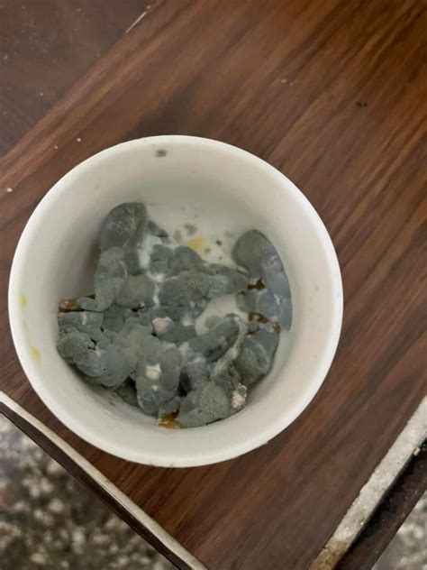 婆婆家冰箱潮濕壞掉不修理食物都冰到發霉連老公也是跟他說這樣孩子吃到會吃壞肚子他態度卻很不在意 爆料公社