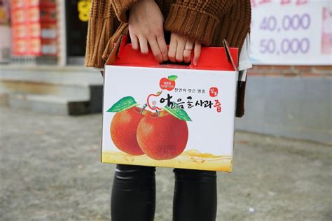 밀양얼음골사과즙 얼리면 샤벳 네이버 블로그