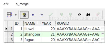 Merge Into语句用法merge Into 多条记录 Csdn博客