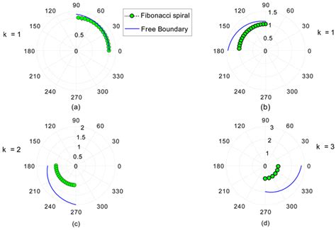 Fibonacci Spiral Pattern