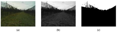 Automation Free Full Text Autonomous Navigation And Crop Row Detection In Vineyards Using