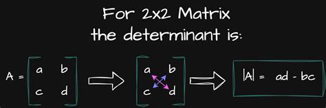 Back To The Basics Of Data Science And Machine Learning By Giulia Falcão Aug 2023 Medium