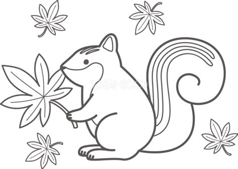 紅葉 もみじ とリスの塗り絵 秋イラスト かわいい 無料 フリー87617 素材Good