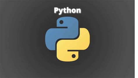 Python Uno Dei Più Noti Linguaggi Di Programmazione