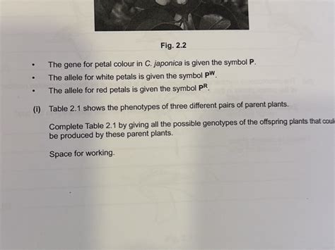The Gene For Petal Colour In C Japonica Is Studyx