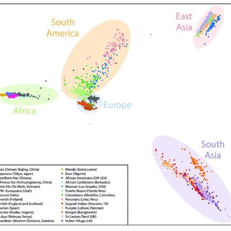 Example Ancestry Pca Plot Containing The Current Reference Data From