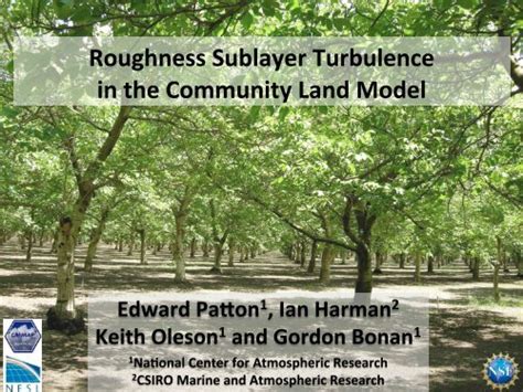 Roughness Sublayer Turbulence In The Community Land Cmmap