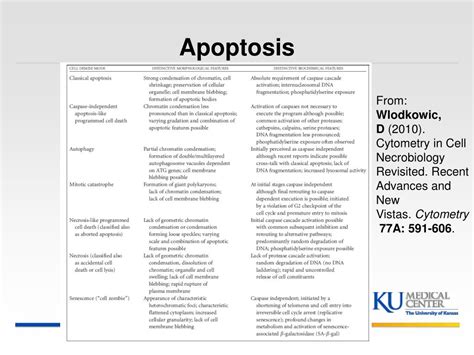 Ppt Measuring Apoptosis Using Flow Cytometry Powerpoint Presentation