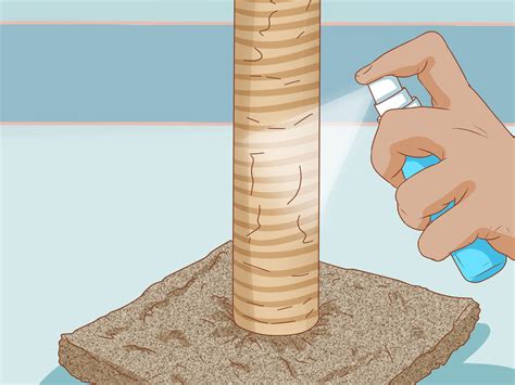 How To Give Catnip To Your Cat 11 Pet Tips