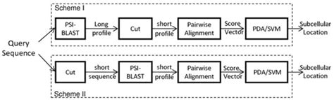 Two Schemes For Computation Saving Two Schemes For Reducing The Download Scientific Diagram